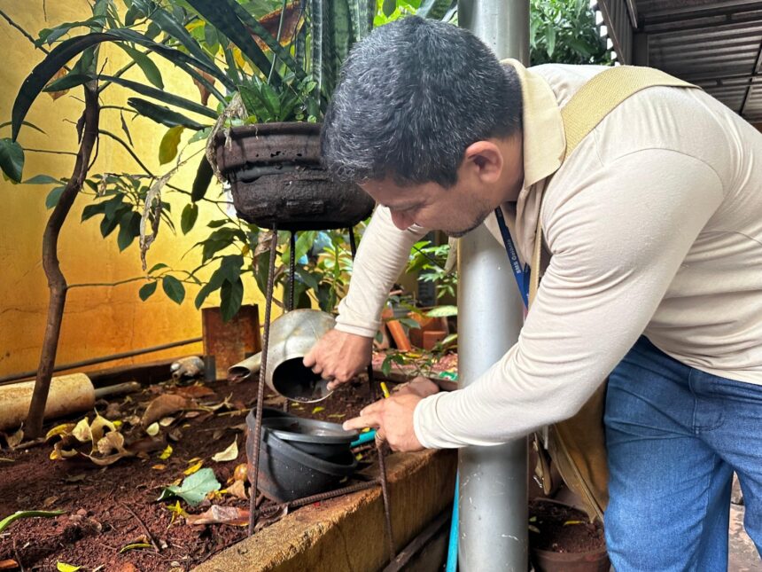 Prefeitura de Goiânia alerta sobre arboviroses com previsão de chuvas ...